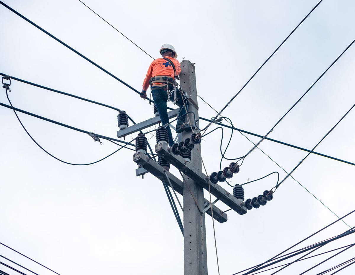 Joint Use Asset Management Software for Electric Utilities | Alden Systems